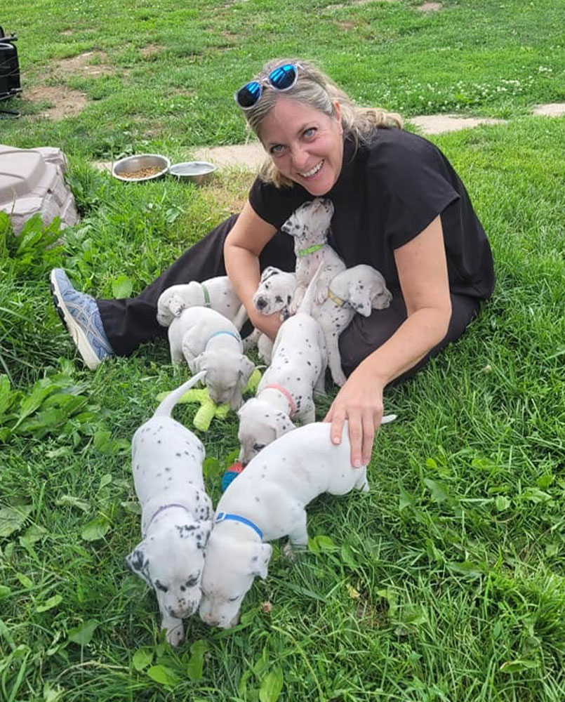 Hearing and Audiology - Vet in Gibsonia | BelaCoop Animal Hospital