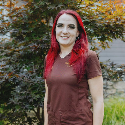 Team - Vet in Gibsonia | BelaCoop Animal Hospital